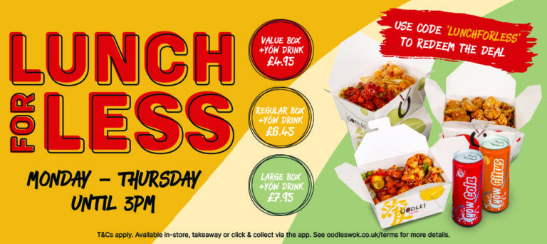 Authentic Indo-Chinese Cuisine | Oodles Wok